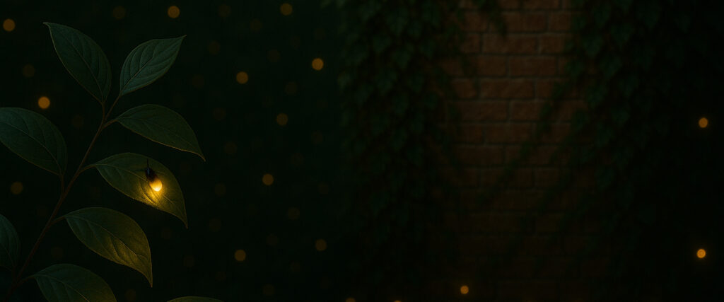 Contact - Firefly Medspa